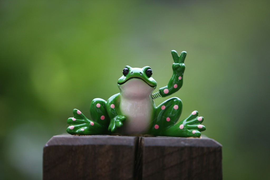 World Frog Day 2025: Protecting Nature’s Tiny Guardians – Outer Haven